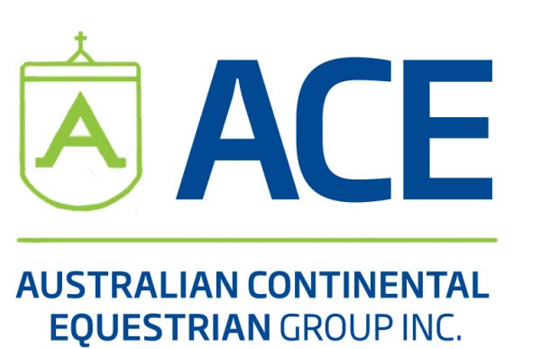 Contact Us | ACE Group Inc.